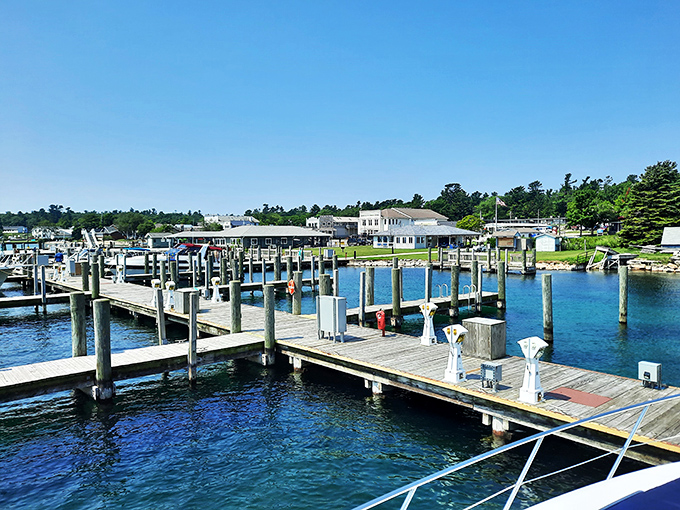 Dock of dreams: where every boat tells a story and every wave whispers "vacation mode: activated."