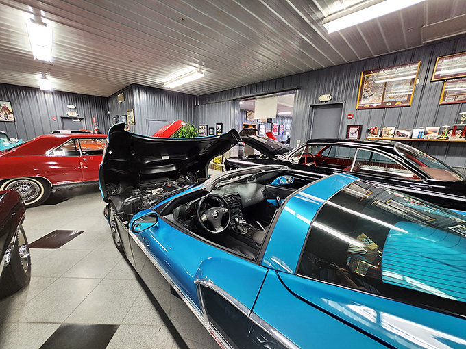 Exotics and muscle cars mingle like the popular kids at a high school dance. It's a party, and everyone's invited!