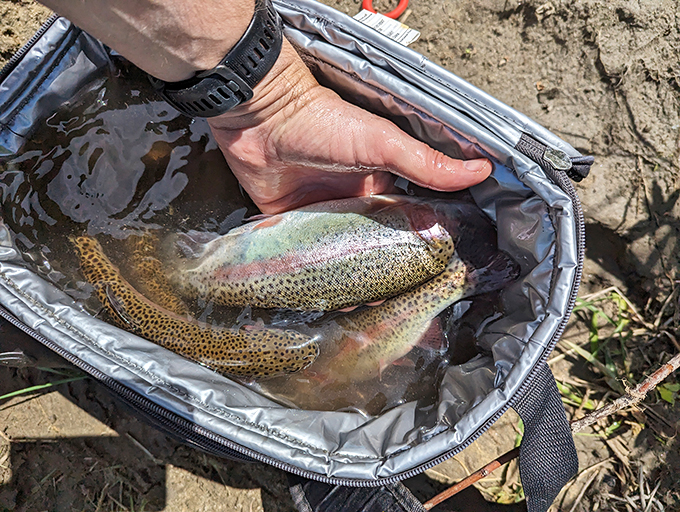 Catch of the day: a moment of zen! This fishy friend is living proof that sometimes, the best things in life really are off the hook.