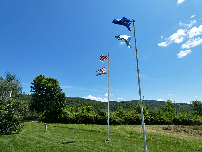 Stars, stripes, and a whole lot of history. These flags have more stories to tell than your grandpa after Thanksgiving dinner.