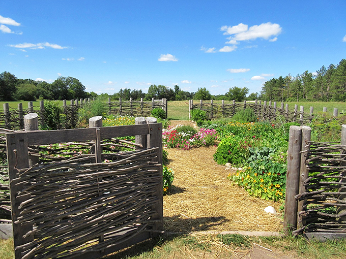 Garden of eatin'! These heirloom veggies and wattle fences show that farm-to-table wasn't just a fad in the 1800s.