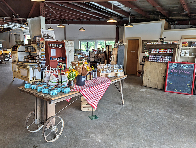 Step into the gift shop, where Vermont charm meets country store chic. Warning: extreme coziness and impulse buying ahead!