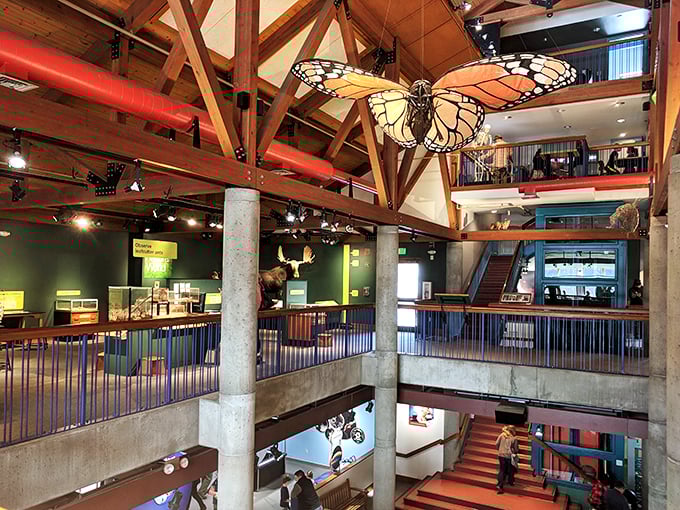 Look up &ndash; way up! The museum's interior is a feast for the eyes, where even the ceiling tells a scientific story.