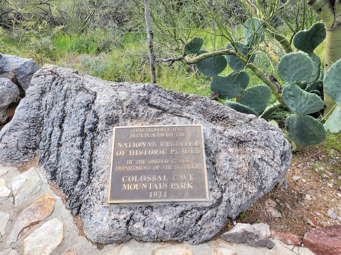 History set in stone! This plaque is like a gold star for Mother Nature's most impressive homework assignment.