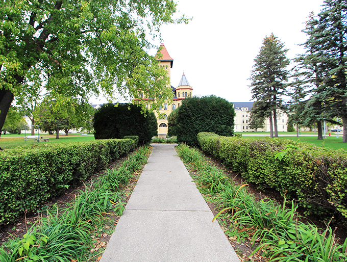 "The path less traveled&hellip; for good reason?" This manicured walkway leads to adventure - or at least some prime Instagram opportunities!
