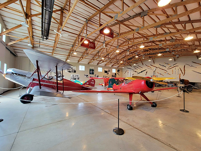 A rainbow of wings and propellers. It's like walking into the world's most exciting box of crayons.