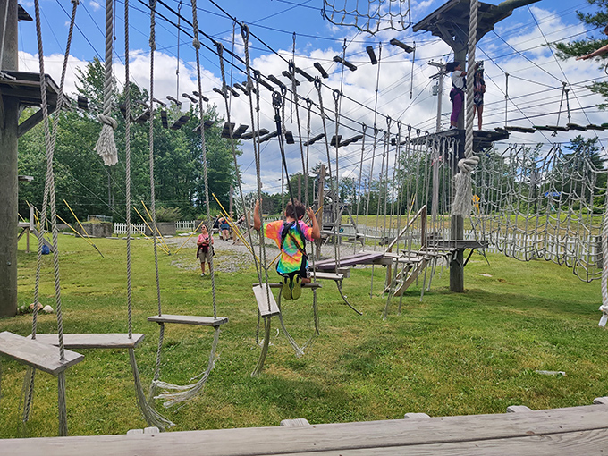 Ropes course or giant cat's cradle? Either way, it's a web of excitement that'll have you feeling like a kid again &ndash; just with better balance.