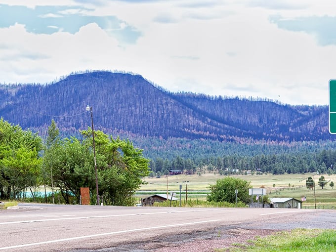 Alpine's skyline: Where nature's skyscrapers put Manhattan to shame, and the air is fresher than your grandma's linens.