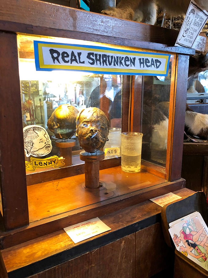"Honey, I shrunk the head!" This display gives new meaning to 'getting ahead in life.' Not for the faint of heart—or weak of stomach.