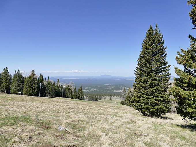 A visual feast that'll have you falling head over heels for summer.