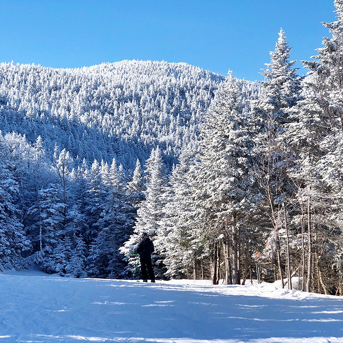 Winter's masterpiece! Sugarbush's snow-covered trails are nature's own art gallery. Van Gogh would've traded his easel for skis in a heartbeat.