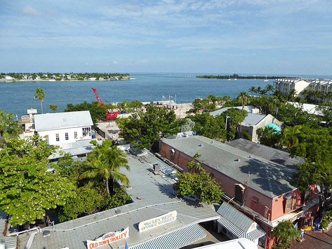 Climb to the top for a view that'll shiver your timbers! Key West spreads out before you like a treasure map come to life.