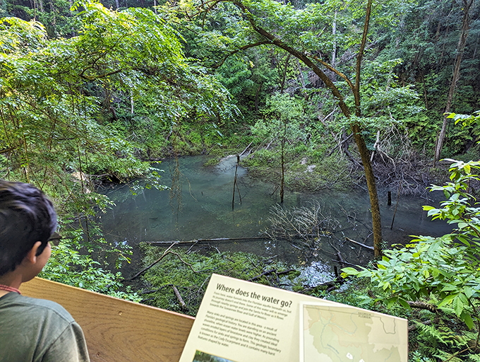 Is it just me, or does this view make you feel like you've stumbled onto the set of 'Jurassic Park'?