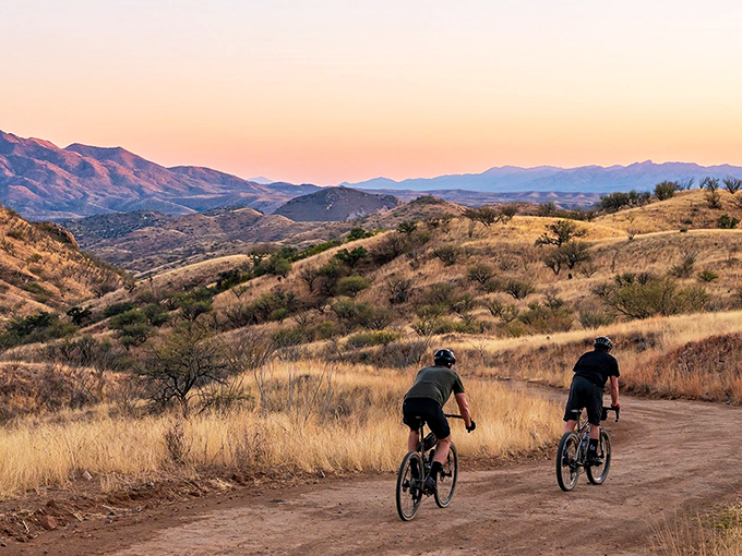 Birder's pitstop paradise: Patagonia's feathered residents make for a lively roadside attraction.