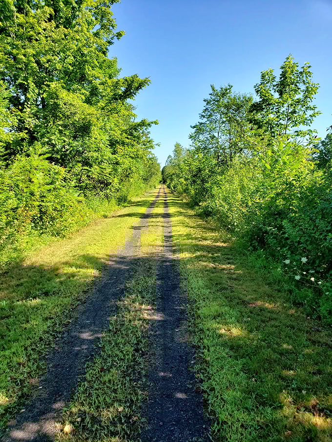 Flat, fantastic, and full of surprises. It's like time travel, but with better scenery!