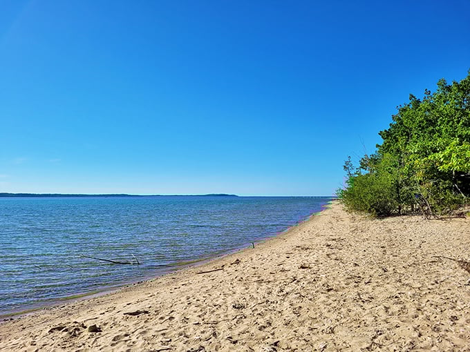 The Elk River: Nature's lazy river ride, perfect for kayaking adventures or just floating your cares away.