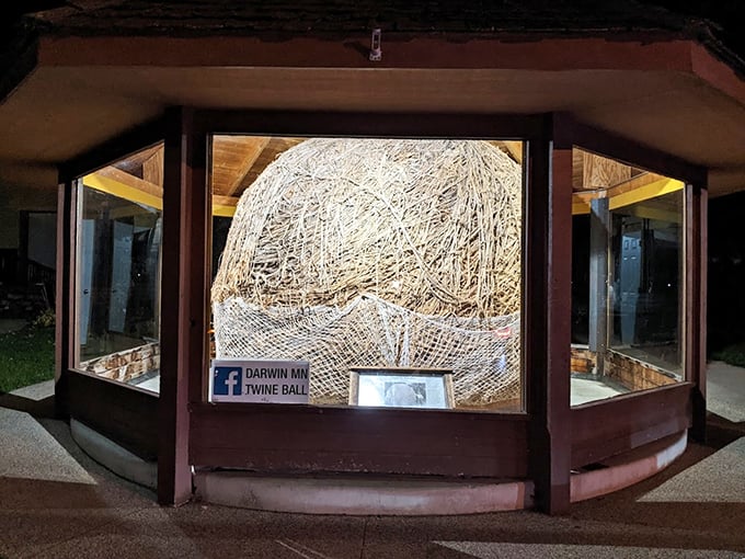 Night falls, but the twine never sleeps. Darwin's pride and joy shines on, a beacon for string seekers everywhere.