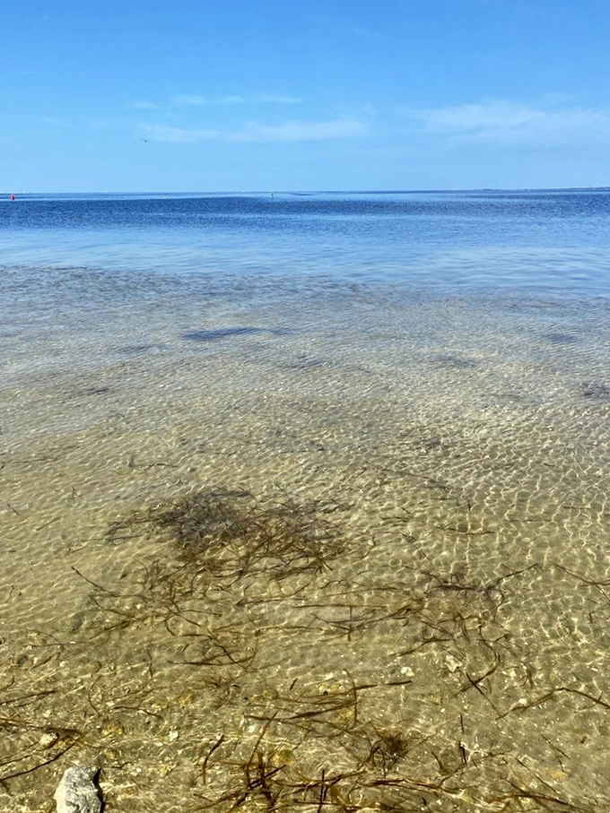 Crystal-clear waters revealing nature's hidden masterpiece. It's like snorkeling, but without the awkward flippers and mask situation.