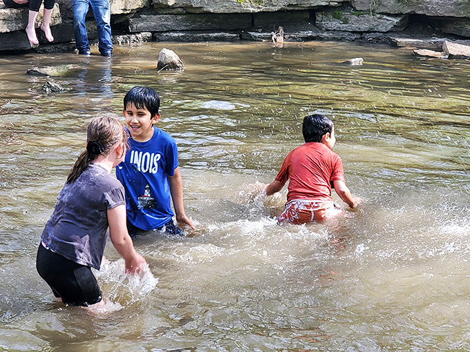Winter's icy grip transforms the landscape into a crystalline wonderland. It's like stepping into Narnia, minus the talking animals.