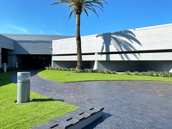 Palm trees and horsepower! The Revs Institute proves that in Florida, even the museums have better tans than most of us.