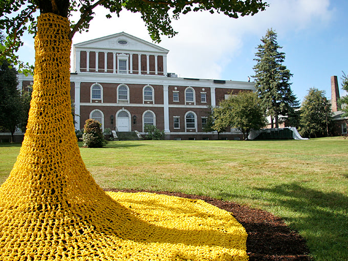 When art escapes the gallery! This yellow installation proves that creativity can bloom anywhere &ndash; even on the museum's front lawn.