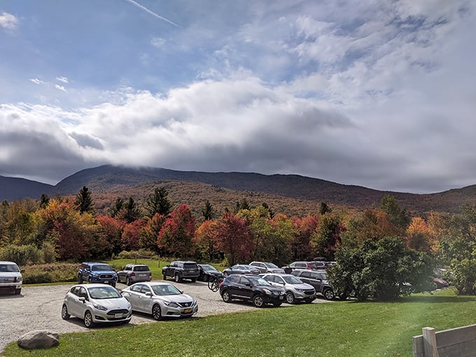From asphalt to treetops in mere steps. This parking lot is where ordinary folks transform into canopy-conquering superheroes.