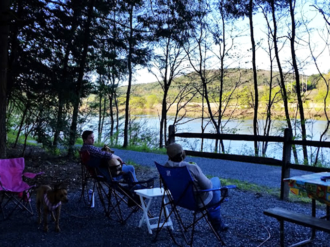 Front-row seats to nature's greatest show. Grab a chair, kick back, and let the river serenade you with its gentle melody.