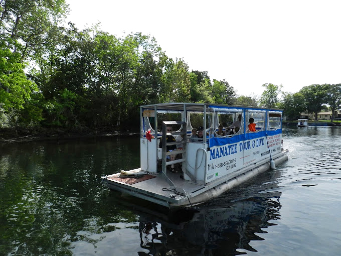 All aboard the SS Manatee Express! This tour boat is your ticket to the greatest show on Earth &ndash; or at least under the water.