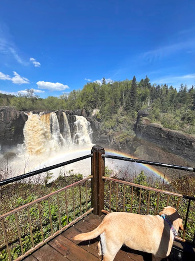 Nature's own IMAX! The thundering falls put on a show so spectacular, even that pup can't look away. Talk about puppy love for waterfalls!