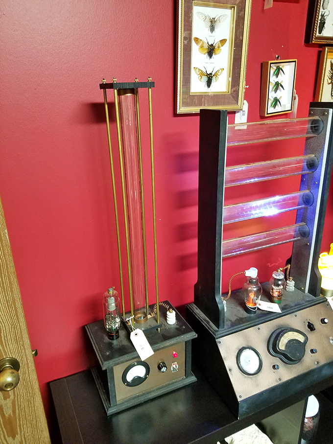 Mad scientist meets steampunk chic in this corner of curiosities. Tesla would be green with envy... if he wasn't already spinning in his grave!