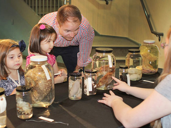 Pickle science, anyone? These jars of curiosities prove that learning can be a deliciously weird experience for all ages.