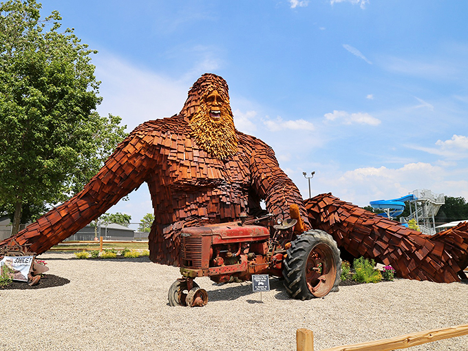 "Bigfoot meets big sky. Nelson's larger-than-life presence is a perfect match for Ohio's wide-open spaces."