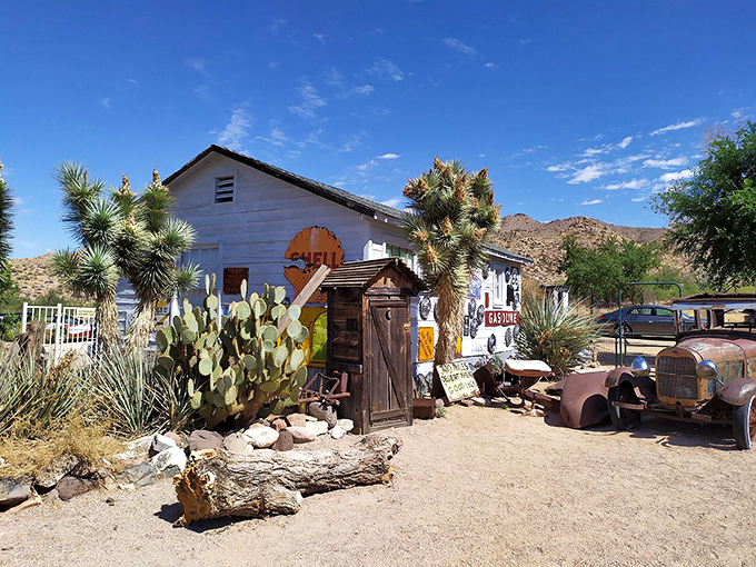 Desert chic meets Route 66 mystique at this outdoor scene. It's like the Wild West decided to open a gift shop, complete with cacti doormen and rusty car greeters.