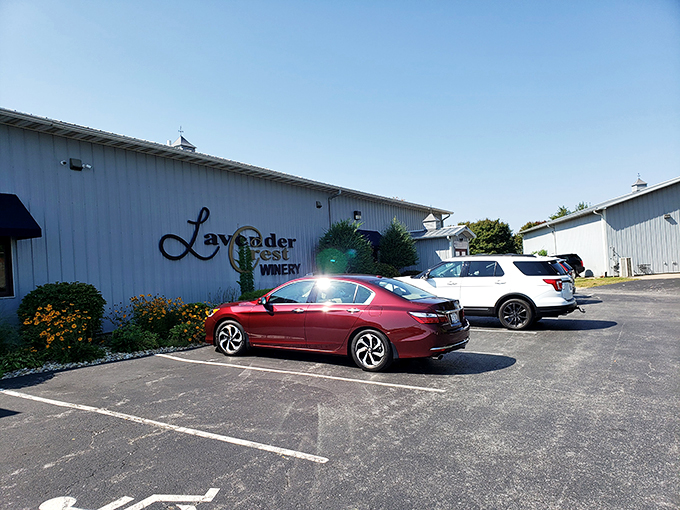 Even the parking lot screams "wine o'clock!" Pull in, park your worries, and prepare for a grape escape. Your taste buds' adventure starts here.