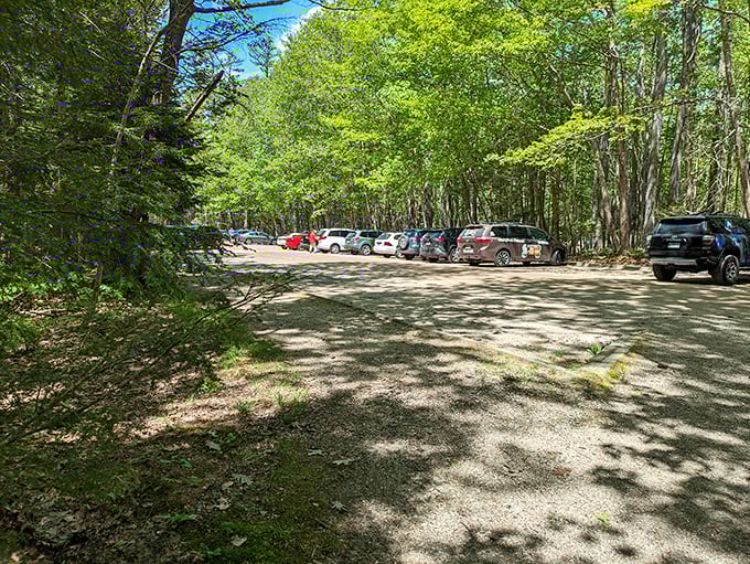 Parking lot or portal? Step out of your car and into a world where adventure awaits just beyond the treeline.