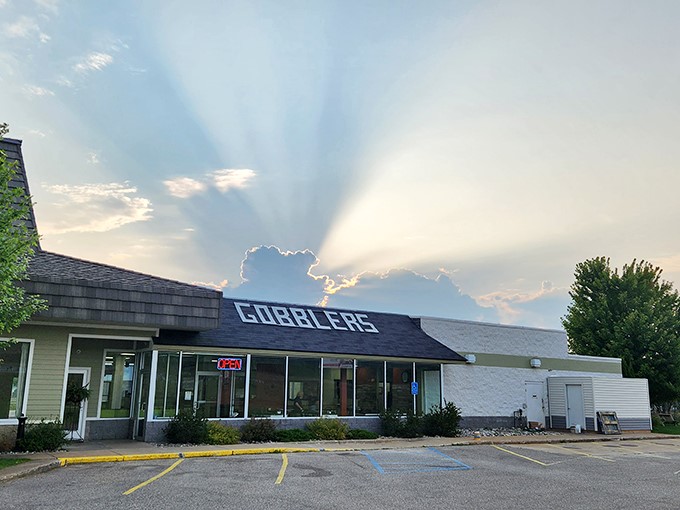 Even the sun can't resist peeking out to catch a glimpse of Gobblers. It's nature's way of saying, "Save me a drumstick!"