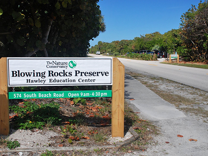 The sign says "Preserve," but I read "Paradise." Welcome to Blowing Rocks, where nature puts on a show 365 days a year!