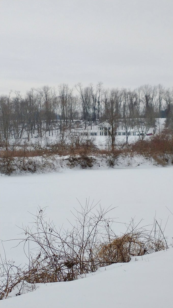 Winter wonderland, anyone? Jack Frost's artistic touch transforms this landscape into a real-life snow globe.