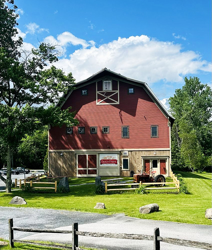The grand finale: Dakin Farm's iconic red barn. It's not just Instagram-worthy; it's a beacon of deliciousness in the Vermont countryside.