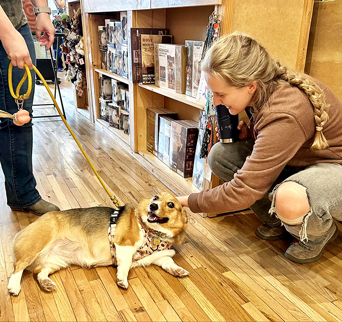 Paws for a good read! Fox Den's dog-friendly policy means your furry friend can join you on your quest for the perfect book.