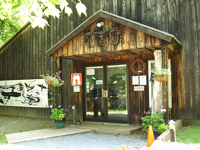 Step into this charming entrance, where rustic charm meets avian artistry in true Vermont style.