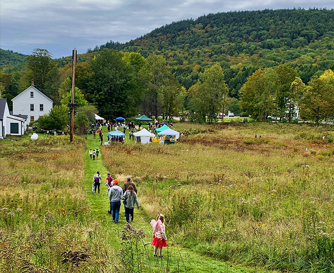 Field of dreams, Vermont style. Who needs baseball when you've got a meadow full of curiosities? If you build it, the nature lovers will come!