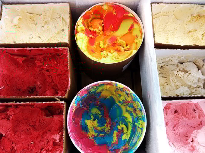 A painter's palette of pure joy! Vicky's colorful array of flavors is like edible art, just waiting for you to create your masterpiece.