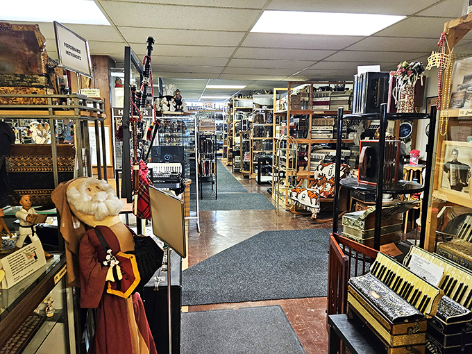 It's not hoarders if it's organized, right? This accordion emporium is where musical dreams and vintage vibes collide in harmonious chaos.