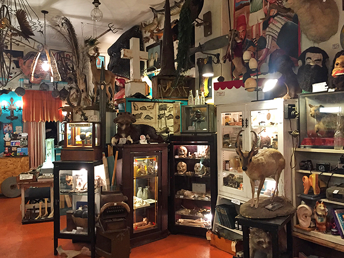 Welcome to the ultimate conversation starter emporium. If these walls could talk, they'd probably tell you to watch your step—and your wallet!