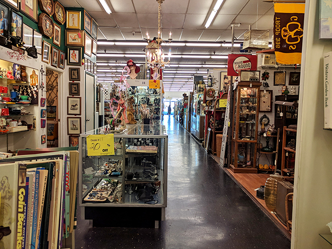 Where every aisle is a trip down memory lane. It's like your childhood and your grandparents' attic had a beautiful, nostalgic baby.