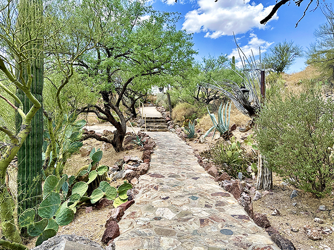 Welcome to the Sonoran Desert's version of a screensaver. No computer graphics needed &ndash; this view is 100% au naturel!