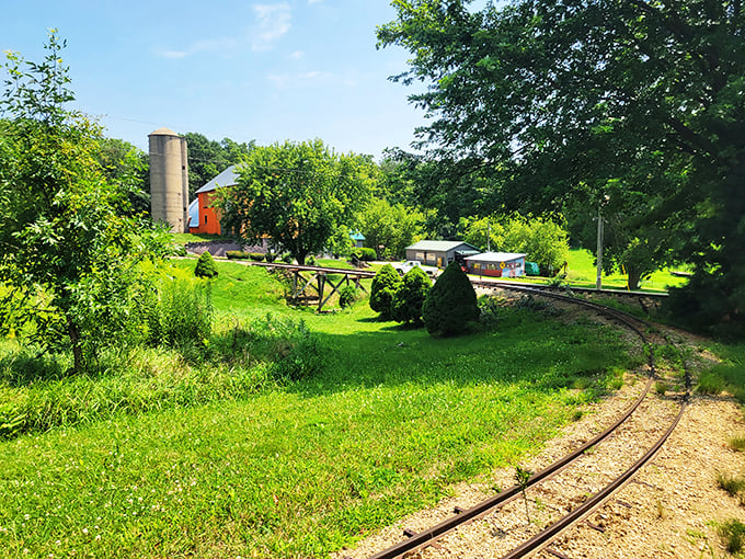 Nature meets nurture in this outdoor wonderland! The real-life train track winding through lush greenery proves that sometimes, reality is just as magical as make-believe.