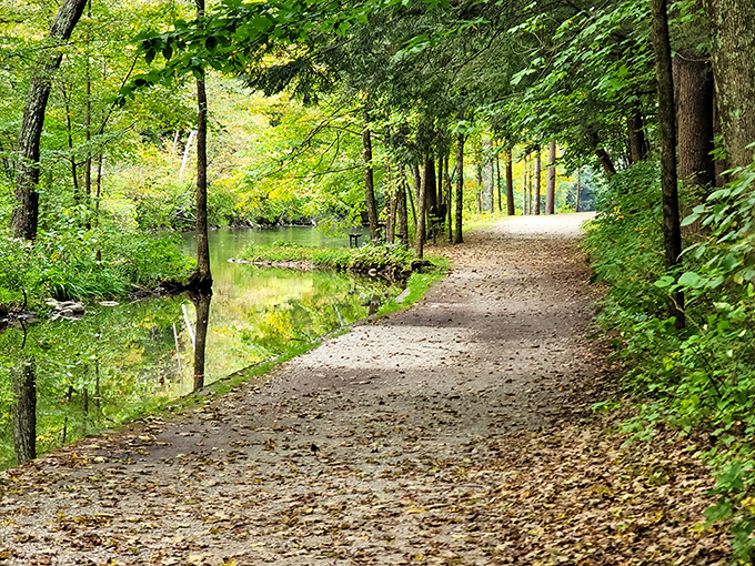 Follow the yellow dirt road! This winding path through the woods is an invitation to adventure that even Dorothy couldn't resist.