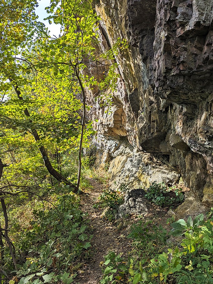 Nature's secret passage. This hidden trail is like the wardrobe to Narnia, but instead of a witch, you'll find wonder.